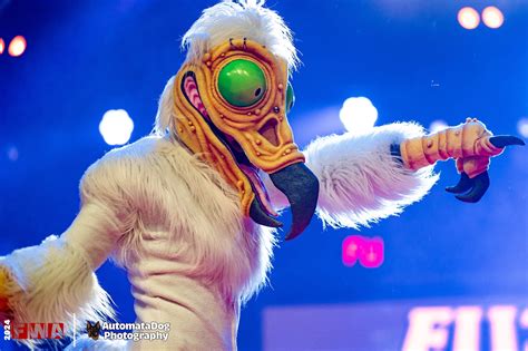 A Daily Photo From A Furry Photographer Day 485 Album On Imgur