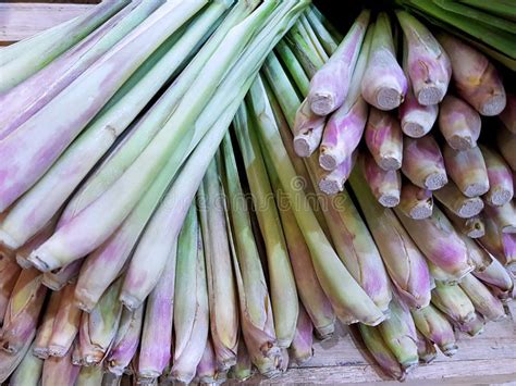 Close Up Bunch Of Fresh Lemon Grasses Stock Image Image Of Cuisine Frame 111398397