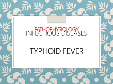 Pathophysiology Of Typhoid Pptx