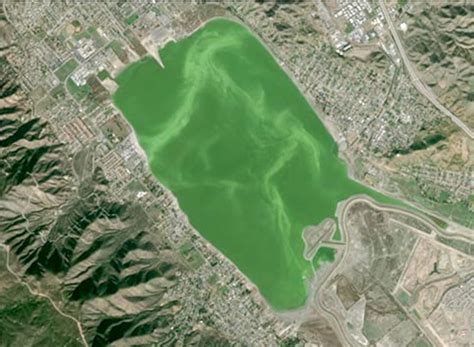 Lake Elsinore Algae Elsinore Officials To Inaugurate Project To Eradicate Algae From Lake