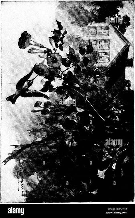 This Foundational Text On Botany Covers Key Aspects Of Plant Biology From Classification To