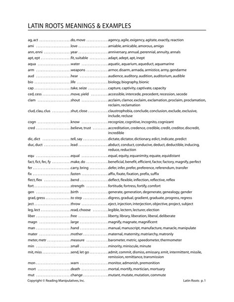 Net Definition Latin At Nancy Green Blog