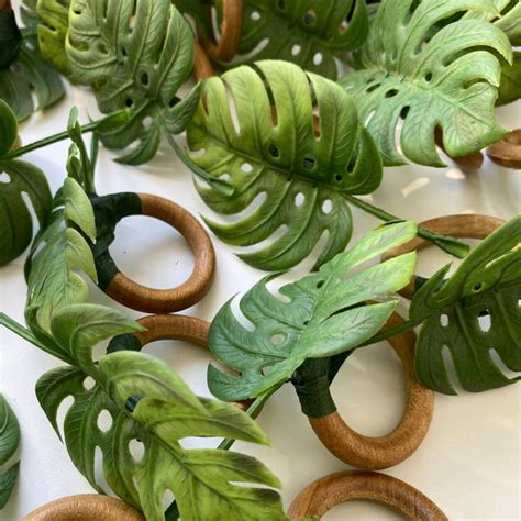 Kit 08 Argolas De Guardanapo Costelas De Adão Elo7