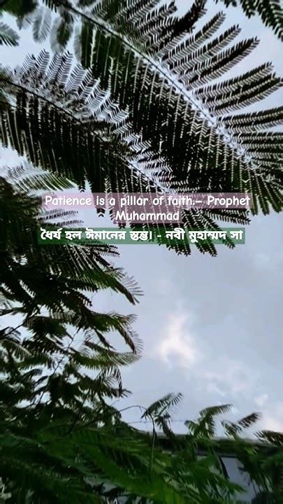 Islamicstatus Islamicquotes Islam Islamic Islamicshorts