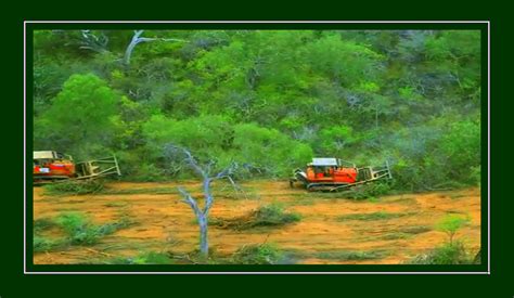 DialÉctica El Impenetrable Chaco Argentino