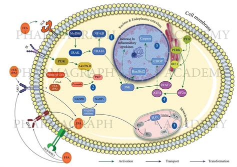 Pharma Graph Academy On Linkedin Project Figure Data