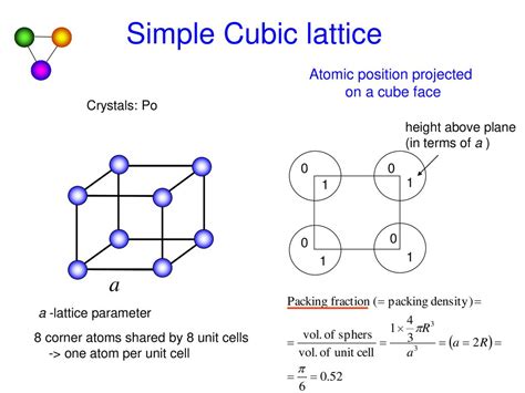 Primitive And Conventional Cells Ppt Download