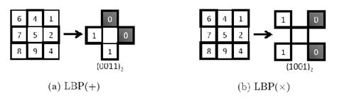Binary Patterns Used In The Co Occurrence Of Lbps Download