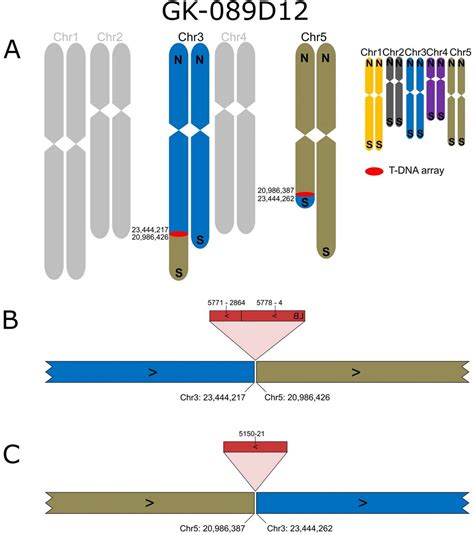 Boas Pucker On Linkedin Genomics Bioinformatics Plantsciences
