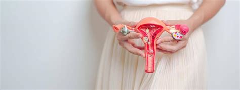 Tilted Uterus 101 Causes Symptoms And Pregnancy Peanut