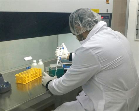 Control Microbiológico Alimentos Ok Alimentos