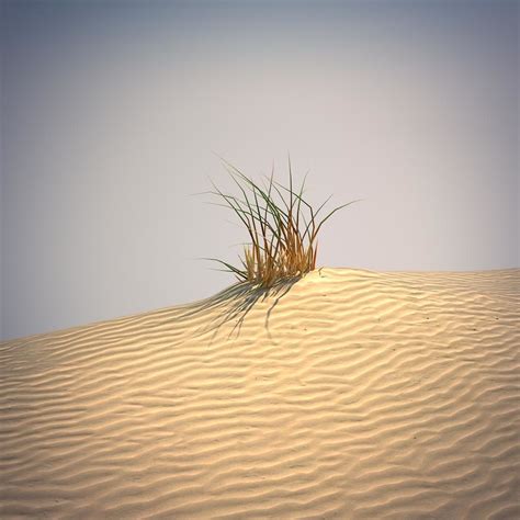 3d Desert Grass Set