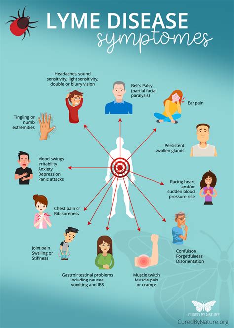 Lyme Disease Years Later Symptoms At Sherlyn Weyer Blog