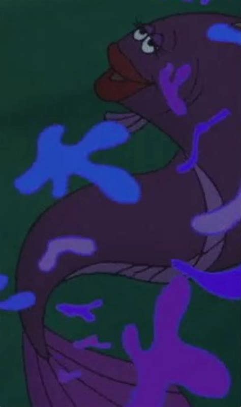 Wolf Eel Animals Wiki Fandom