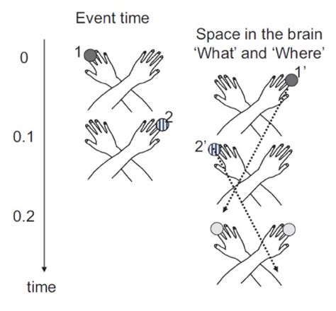 Two Steps In Spatial Remapping It Is Now Generally Accepted That A Download Scientific Diagram