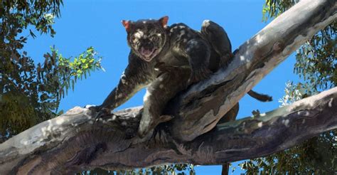 Meet Thylacoleo Australias Extinct Predator With The Bite Of A Big Cat