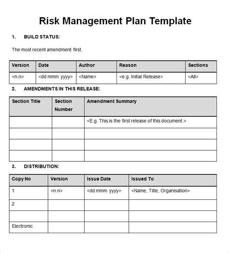 Risk Management Plan Templates Templates Hexagon