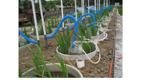 Lysimeter Device For Measuring Ammonia Volatilization Download Scientific Diagram