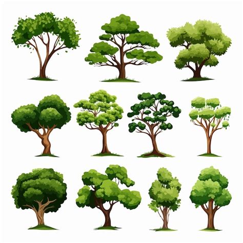 Tree Element Set On White Background Vector Cartoon Illustration