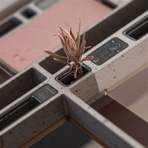 What Are Phytoncides And How Do They Help → Question