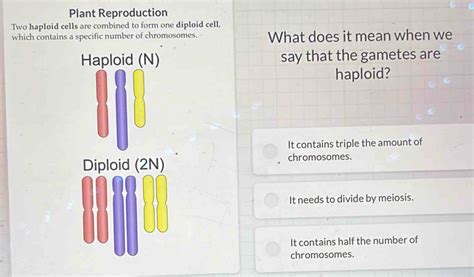 Solved Plant Reproduction Two Haploid Cells Are Combined To Form One