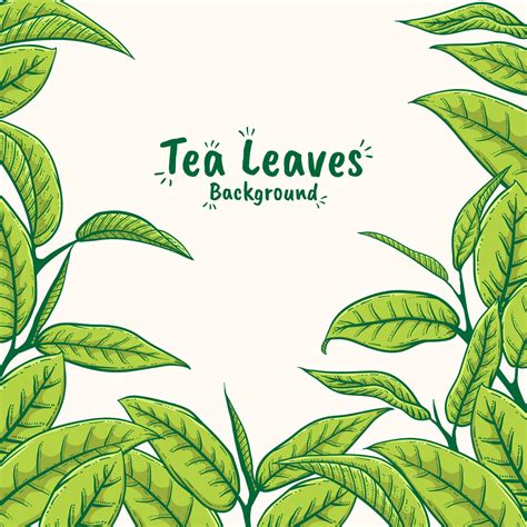 Hand Drawn Tea Leaf Illustration 5427985 Vector Art At Vecteezy