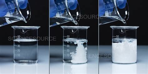 Lead Sulfate Precipitate Stock Image Science Source Images