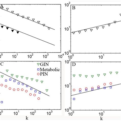 correlations between node connectivity and its neighborhood