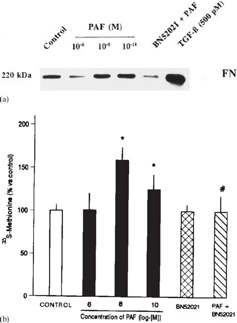 Fibronectin Synthesis Induced By Paf In Tubuloepithelial Cells Effect
