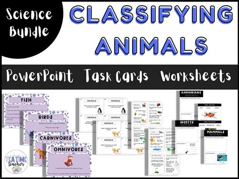 Animals Including Humans Classifying Animals Year 1 Bundle Teaching