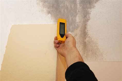 Mold Inspection And Testing Lakeshore Restoration Llc
