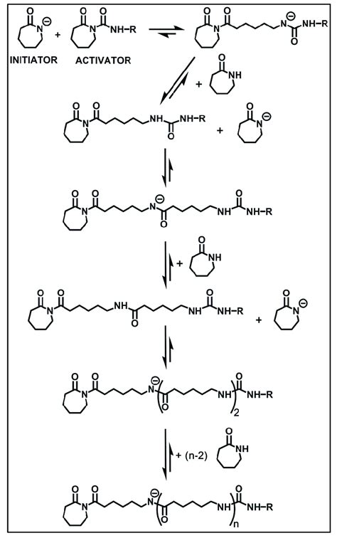 Scheme 1 Anionic Ring Opening Polymerization Arop Of ε Caprolactam