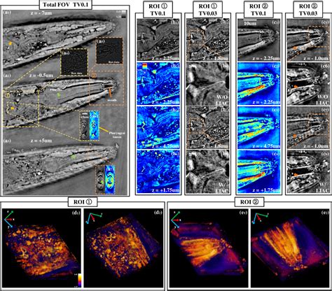 Figure 5 From Refractive Index Tomography With A Physics Based Optical