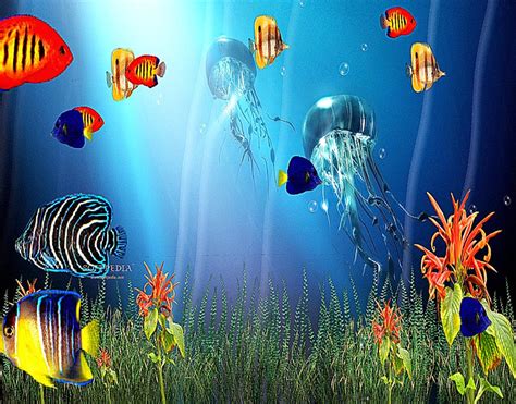 The Best Aquarium Moving Screensavers 3d