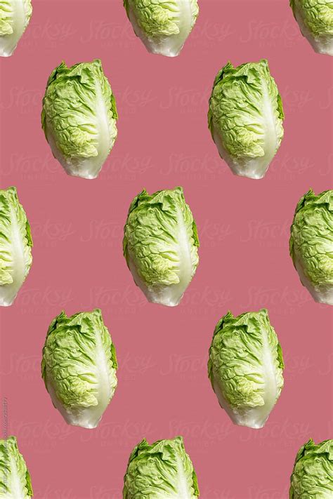 infinite lettuce pattern by stocksy contributor cactus creative
