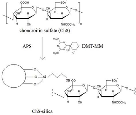 Figure 1 From Chondroitin Sulfate Modified Stationary Phase With Mixed