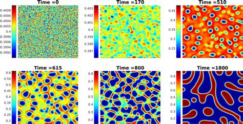 Experiment 2 Spinodal Decomposition Time Evolution Of The Volume Download Scientific Diagram