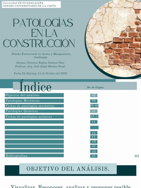 Patologías En La Construcción Pdf Hormigón Acero