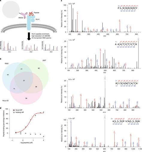 Microproteins Detected In Hla I Complexes A Schematic Of The