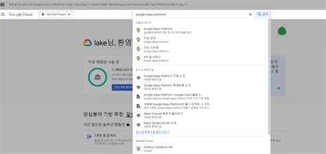 구글api 위도 경도 받아오기 파이썬 Python 구글api 위도 경도 받아오기 파이썬 Python
