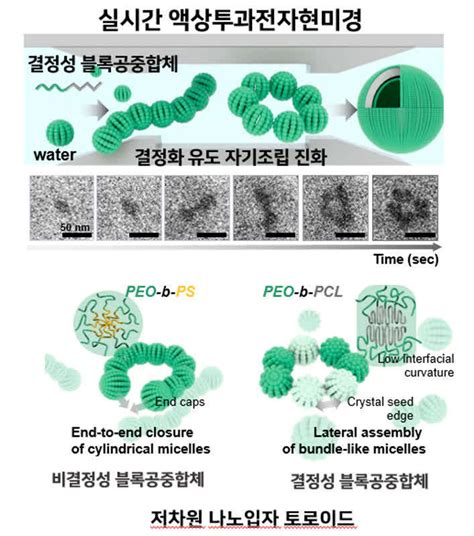 Gist 세계 최초로 고분자 나노구조 진화과정 관찰 성공나노소재 설계 방향 제시