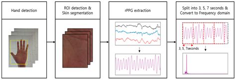 Electronics Free Full Text Fake Biometric Detection Based On Photoplethysmography Extracted