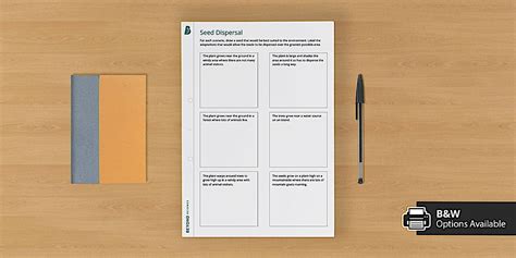 Seed Dispersal Worksheet Ks3 Plant Reproduction Beyond