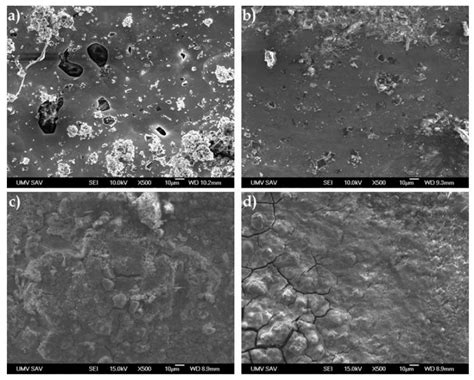 Sem Micrographs Of Corroded Surfaces Of Composite Ni B Films Thermally
