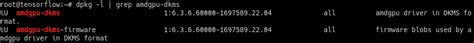 Amdgpu Dkms ROCm Tensorflow Pytorch In Ubuntu CLI