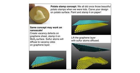 Defect Design Of Two Dimensional MoS2 Structures By Using A Graphene Layer And Potato Stamp
