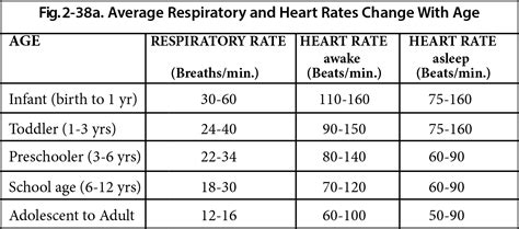 Pediatric Hypotension Think Hypovolemia The Airway Jedi