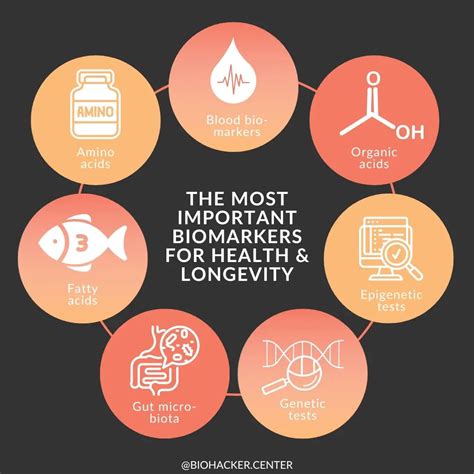 The Most Important Biomarkers For Health And Longevity Biohacker Center