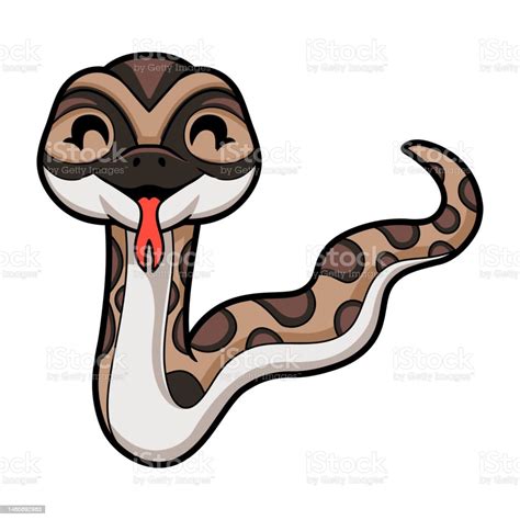 Cute Python Molurus Bivittatus Cartoon Stock Illustration Download
