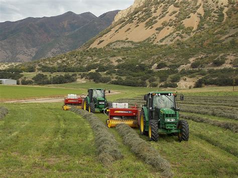 Hay 4 U Harward Farms Utahs Freshest Produce And Farm Fun